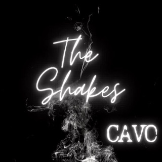 Cavo - Dizzy Lyrics | AZLyrics.com