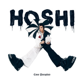 Hoshi - Paroles de "Puis T'as Dansé Avec Moi (Unplugged)" | Lyrics at ...