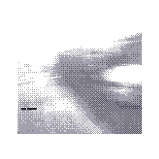Lido - BODY CLOCK Lyrics | AZLyrics.com