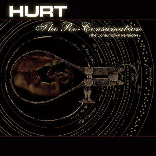 Hurt Lyrics