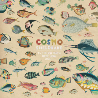 Cosmo Sheldrake Lyrics